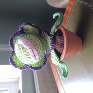 PATTERN ONLY Baby Audrey II Plant Crochet Pattern Little Shop of ...