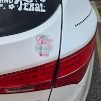 Just Pray Sticker, Bible Sticker Pack, Faith Stickers, Religious Decal ...