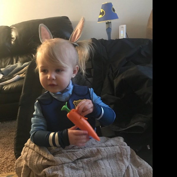 Bunny Ear Clips, Bunny Ears, Bunny Ear Photo Prop, Easter Bunny Ears ...