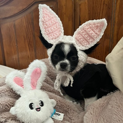 Bunny Rabbit Ear Hat for Cats - Etsy