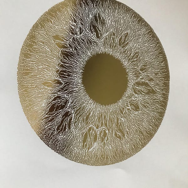 6 Botox Injection Posters Beauty Treatment Art Dermal Filler Poster ...