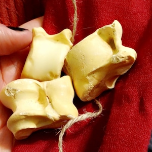 Viking Antler Fid Norse Knot Loosening Tool Viking Belt Tool-primative ...