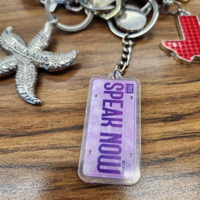 Reputation License Plate. Aluminum License Plate. the Eras Tour Merch ...