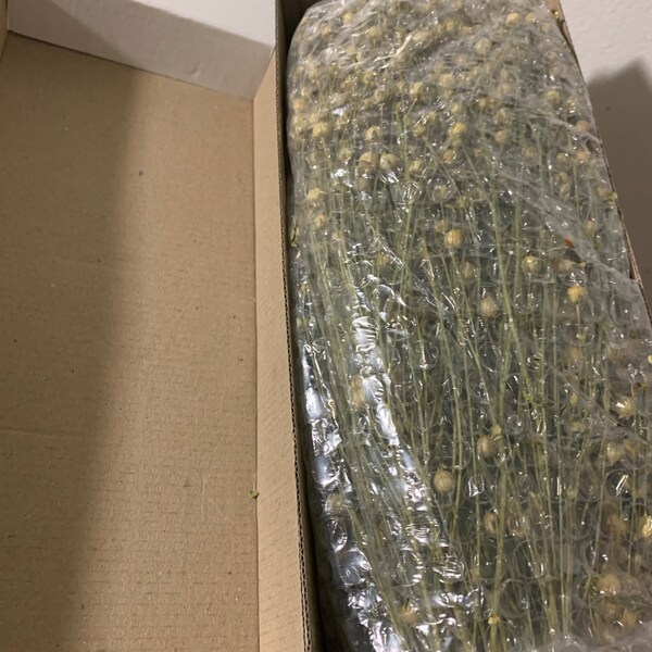 Organic Flax Spray - Etsy