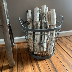 Birch Bundle of Logs 10 Free Shipping - Etsy