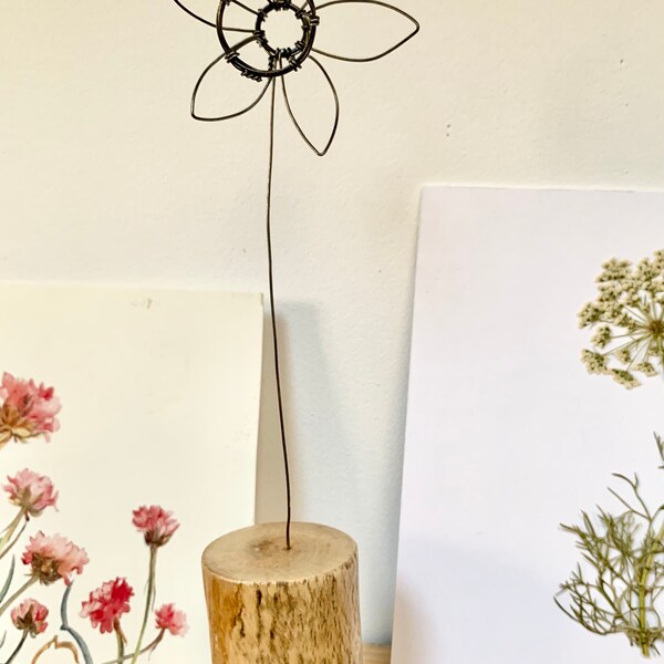 Wire Flower Meadow in a Wire Frame/flowers/seed Heads & Grasses/wire ...