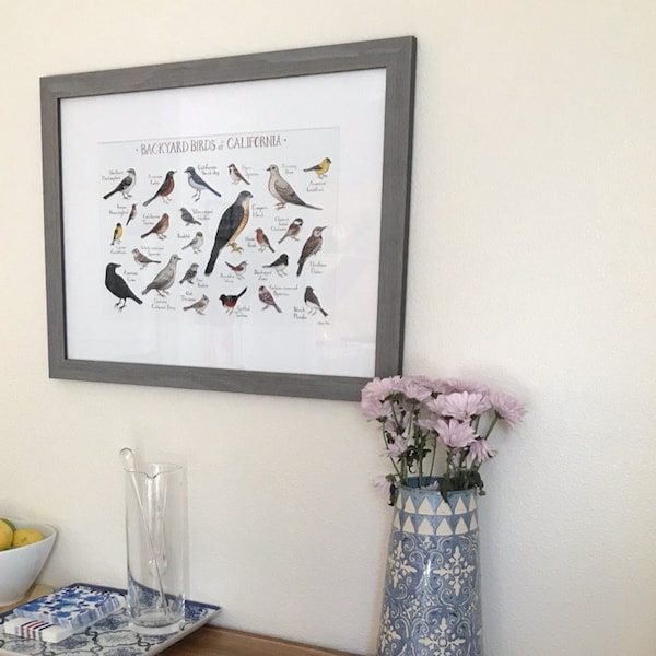California Backyard Birds Field Guide Art Print / Watercolor Painting ...