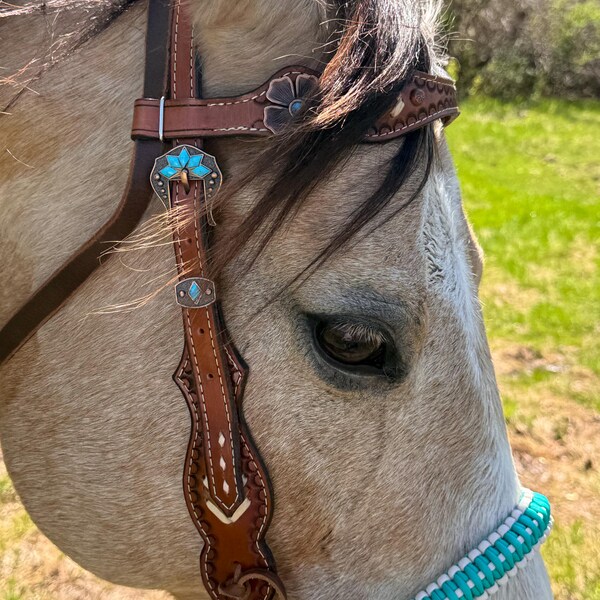 TRAINING REINS - Etsy