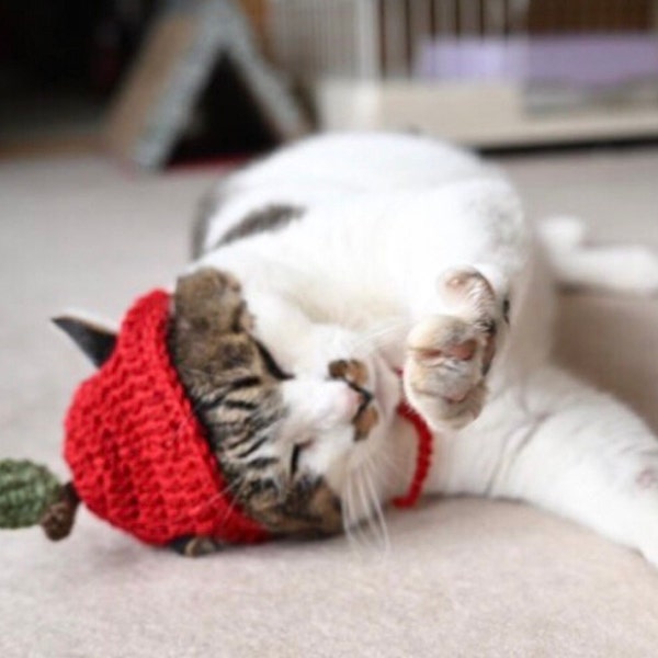 Apple Hat for Cats - Etsy