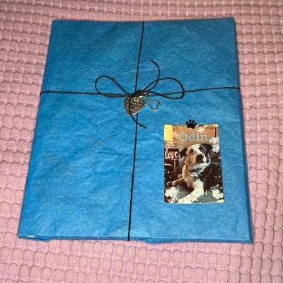 Guided Pet Remembrance Journal - Etsy