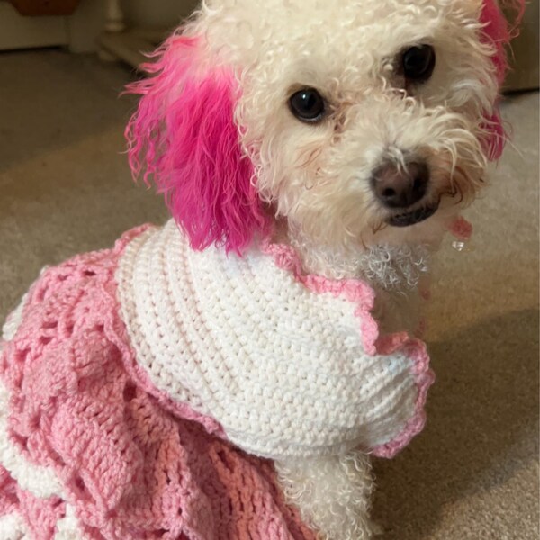 Crochet Dog Dress Pattern: Small Pet Sundress & Bolero (PDF File) - Etsy