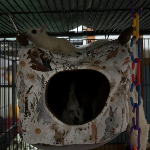 Animal Hammock, Rat Hammocks, Homemade Pet Hammocks, Rat Accessories ...