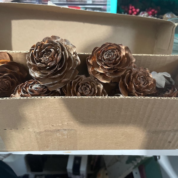 25 Super Cedar Roses - Wooden Roses - Deodar Cedar Pine Cone - Etsy