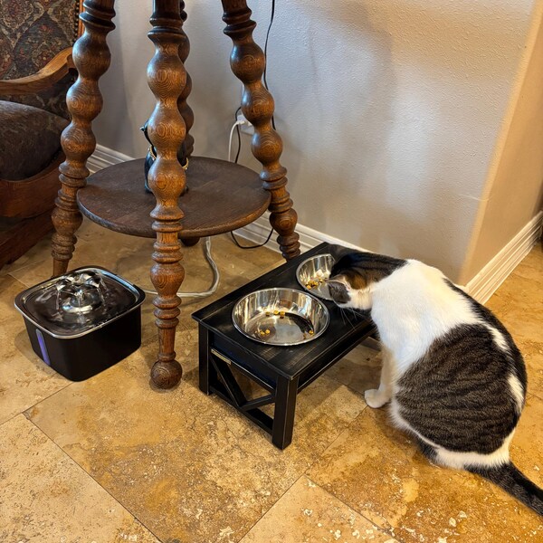 Elevated Dog Cat Pet Feeder | HUMAN GRADE 304 Stainless Bowls | Raised ...