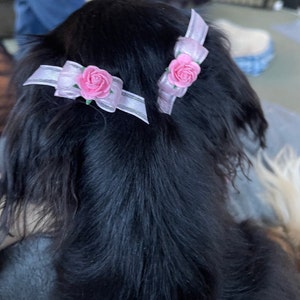 Petite Dog Bows,small Dog Hair Bows,pigtail Bows for Dogs,bows for ...