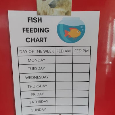 Printable Fish Feeding Chart, Children's Fish Feeding Chart, Pet Chart ...