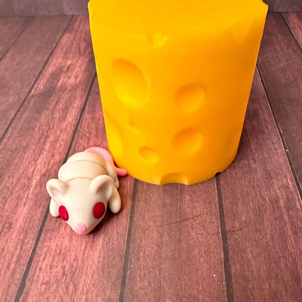 Tiny Mouse Fidget Toy With Optional Cheese Container Stress Relief Toy ...