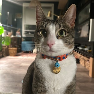 Checkered Cat Collar Black and White Checks Safety - Etsy