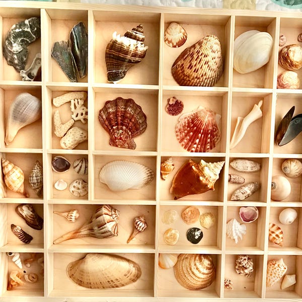 Dark Wooden Display 28 Compartments | Shadow Box | Brown Wall Hanging ...