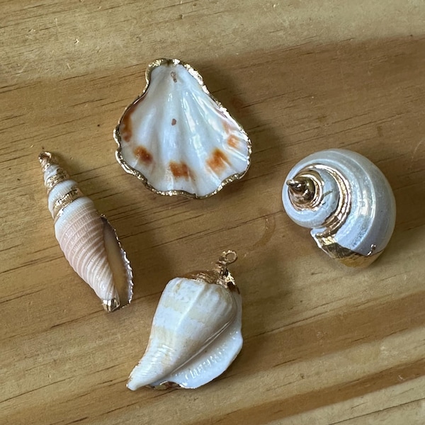 Natural Shell Charm, 3D Conch Charm, Marine Life Decoration Charm ...