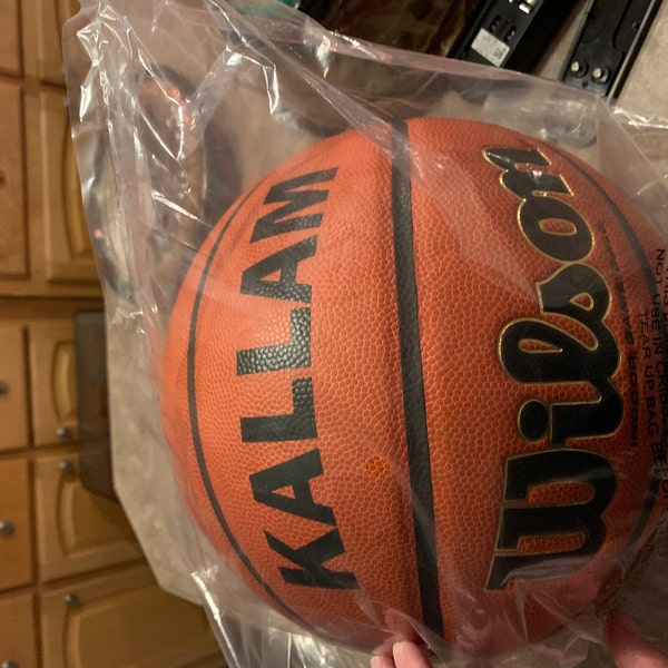 Customized Personalized Wilson Evolution Basketball Indoor Sizes 29.5 ...