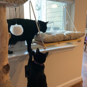 Handcrafted Cat Window Perch With Plush Bed Cat Window - Etsy