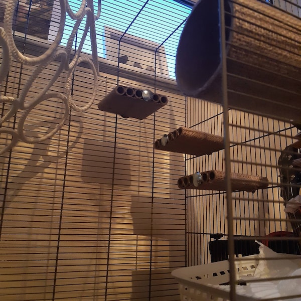 Degu Corner Shelf - Pet Toy, Degu, Rat, Gerbil, Hamster Cage Accessory ...