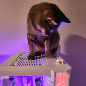 Missile Switch Gaming PC Case Power Cover Cat Protector - Etsy