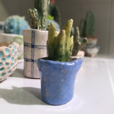Ceramic Cactus, Mini Cactus, Cactus Themed Gifts, Plant and Planter ...