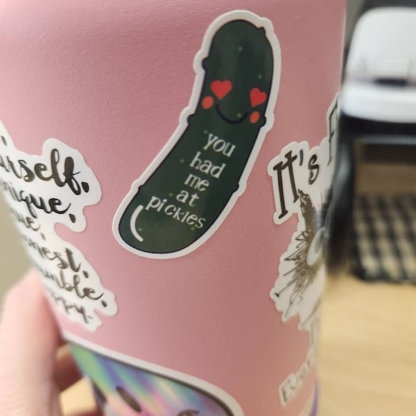 Pickle Sticker Pack | Stickers | Stickers for Laptop | Water Bottle ...