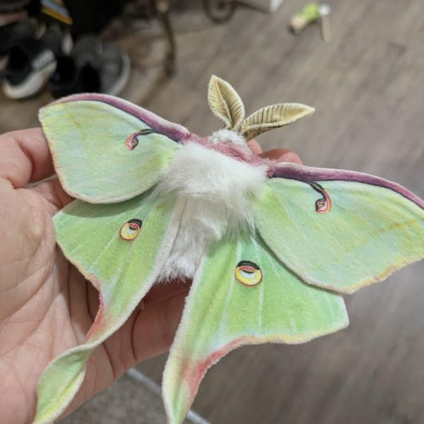 Flower Mantis Hair Claw Clips Spiny Flower or Umbrella Mantis! - Etsy