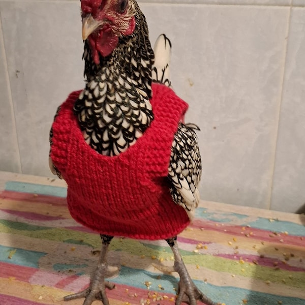 Chicken Jumper -hand Knitted -knit/made to Order -bespoke -chicken ...