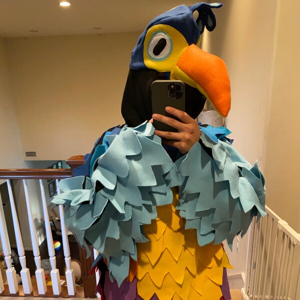 Dodo Hat. Blue Cartoon Bird, Silly. - Etsy