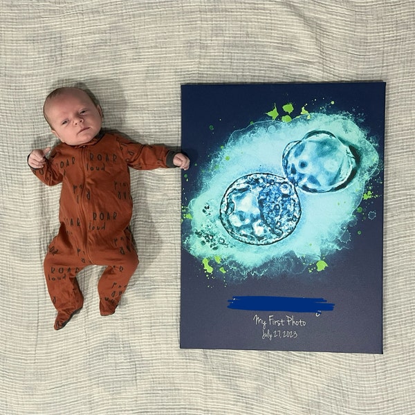 Custom IVF Art Embryo Watercolor Personalized Pregnancy Gift - Nursery ...