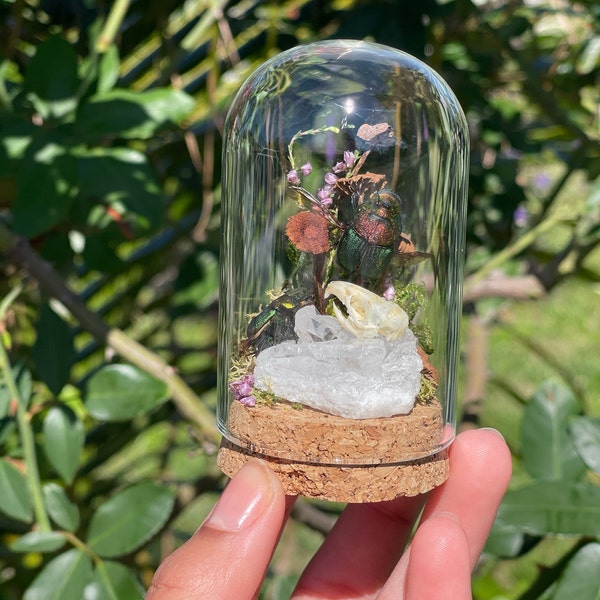 Big Dome Glass Jar, 80x50mm, Dome Jar, Cloche Dome, Cork, Glass Jar ...