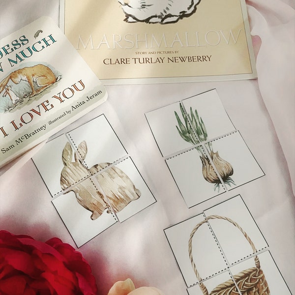 Bat Unit Study Bundle, Bat Study, Bat Life Cycle, Fall Montessori Unit ...