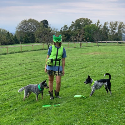 Periwinkle Fox Mask - Etsy