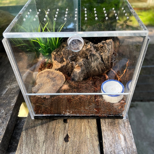 A Unique Terrarium. Starter Set. Terrarium for Tarantulas /spiders ...
