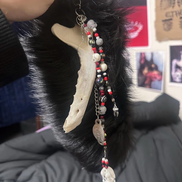 North American Theriotypes Sticker Sheet! Therians Nature Stickers - Etsy