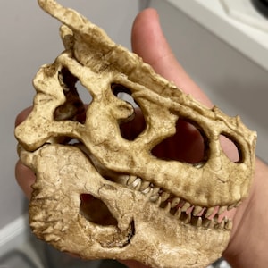 Tigrex Skull monster Hunter - Etsy