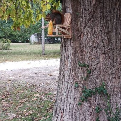 Squirrel Adirondack Chair Feeder Plans, Squirrel Chair Plans, Squirrel ...