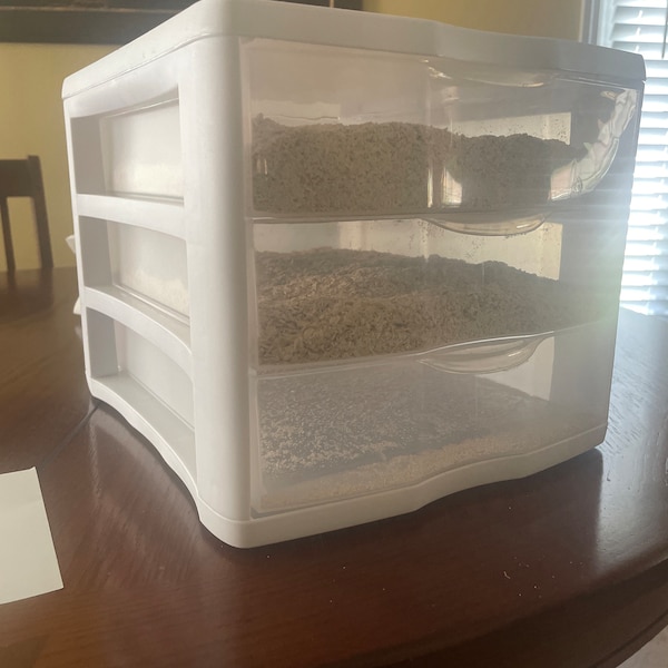 Dubia Roach Breeding Box Small Size, Starter Breeder Kit, Colony ...