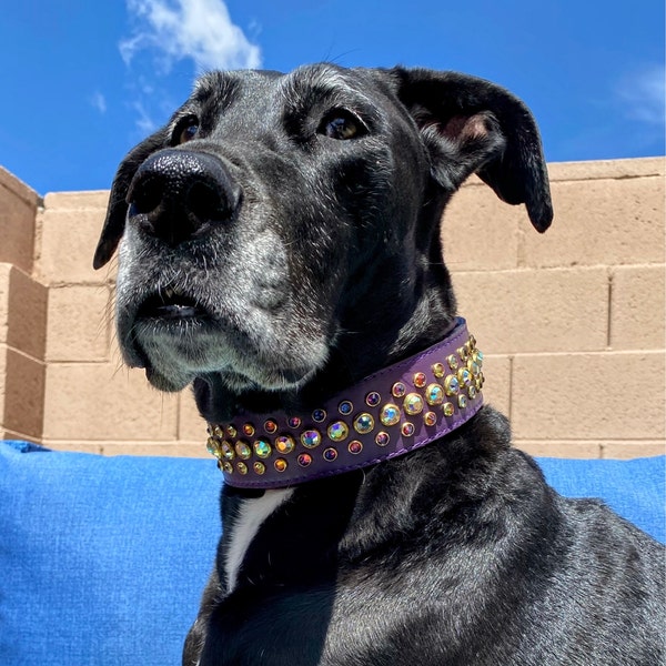 Luxury Big Dog Collar With Spikes 3 Inch Width - Etsy