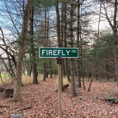 Firefly, Firefly Gift, Firefly Sign, Firefly Decor, Firefly Lover ...
