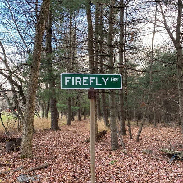 Firefly, Firefly Gift, Firefly Sign, Firefly Decor, Firefly Lover ...