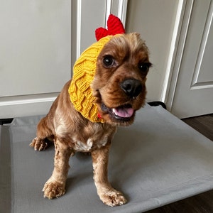 Rooster Chicken Dog Snood Knit Crochet Dog Hat Easter Dog Costume Ear ...