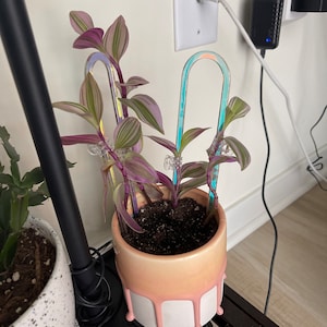 Suncatcher Arch Plant Trellis Supports / U Shaped Plant Trellis for ...