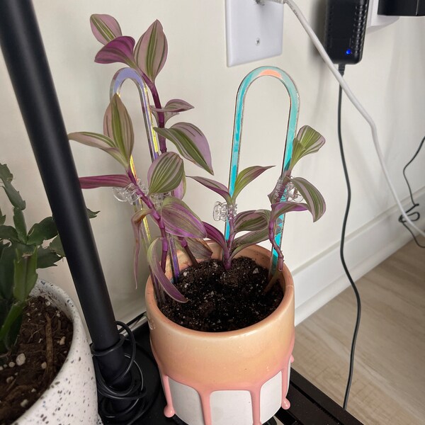 Arch Acrylic Plant Trellis Supports (set of 2) / Rainbow Plant Trellis ...