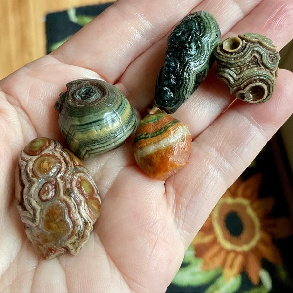 Incredibly Rare and Unique Mongolian Gobi Desert Alxa Agate Stones ...