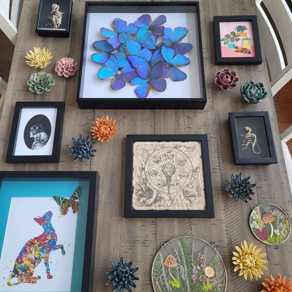 Real Skull Wild Animal, Degreased and Bleached Bone, Halloween Decor ...